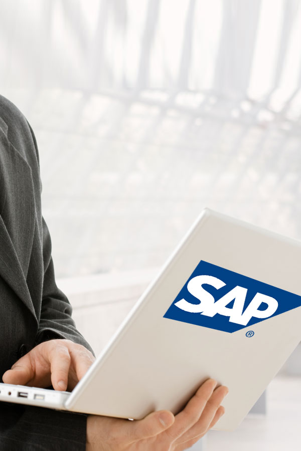 SAP consulting Services Company | SAP services | DESSS